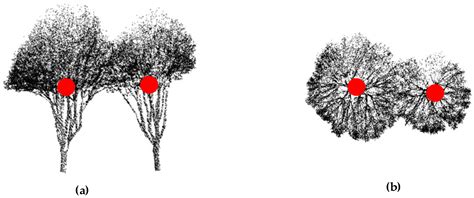 Remote Sensing Free Full Text Trunk Constrained And Tree Structure