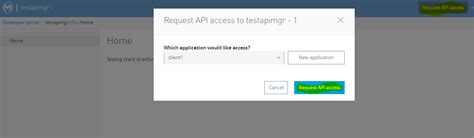 Basic Authentication MuleSoft API Manager MuleBlogs
