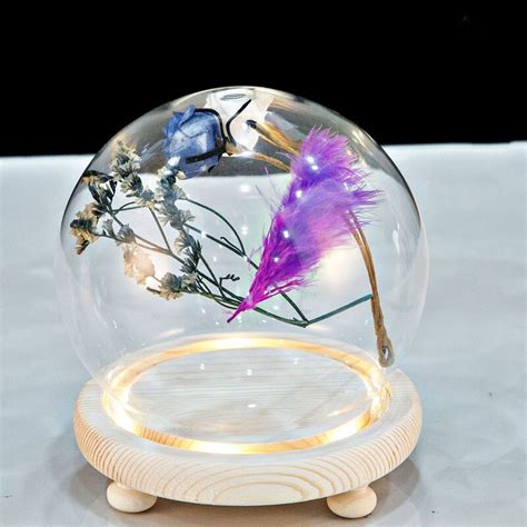 Badu Bg Диаметър 13 см среден размер Ваза със стъклен купол с кръгла форма Декорация на дома