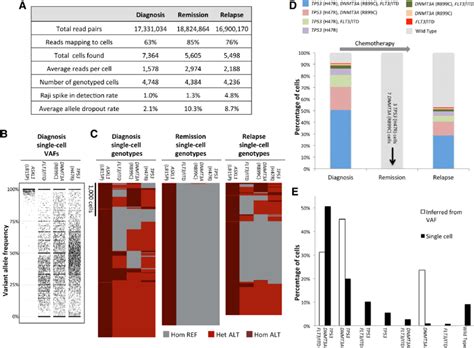 Analysis Of Aml Clonal Architecture A Table Displaying Key Metrics