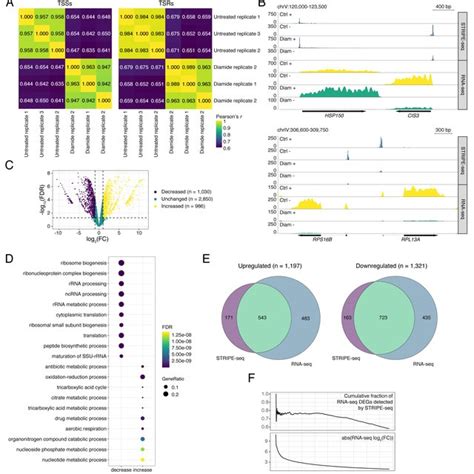 Stripe Seq Captures Differential Tsr Usage And Transcript Abundance Download Scientific Diagram