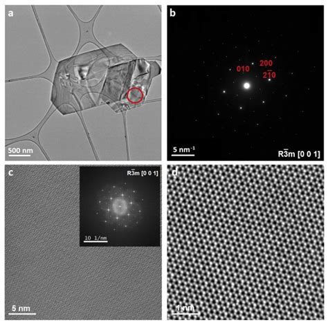 Low Magnification Tem Image A The Red Circle Highlights The Area