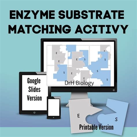 Enzyme Substrate Match Activity Blended Learning Biology Activity