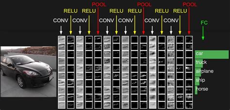 Implementing Densenet 121 In Pytorch A Step By Step Guide By Shuvam Das Deepkapha Notes