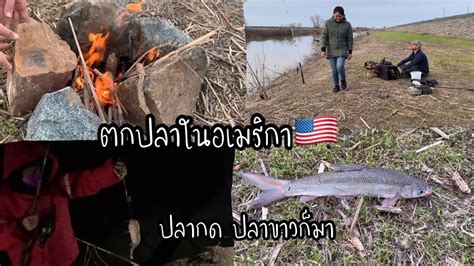 ตกปลาในอเมริกา ปลากด ปลาขาวก็มีเหมือนบ้านเรา Youtube