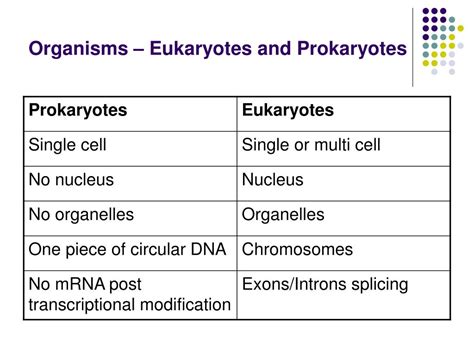 Ppt Cot 6930 Hpc And Bioinformatics Introduction To Molecular Biology Powerpoint Presentation