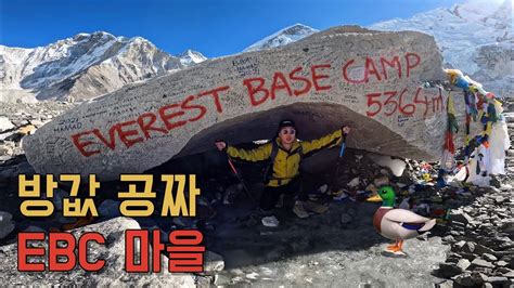 에베레스트 베이스캠프 가는길에 오리가 인터넷을 물었다🇳🇵 15 Youtube