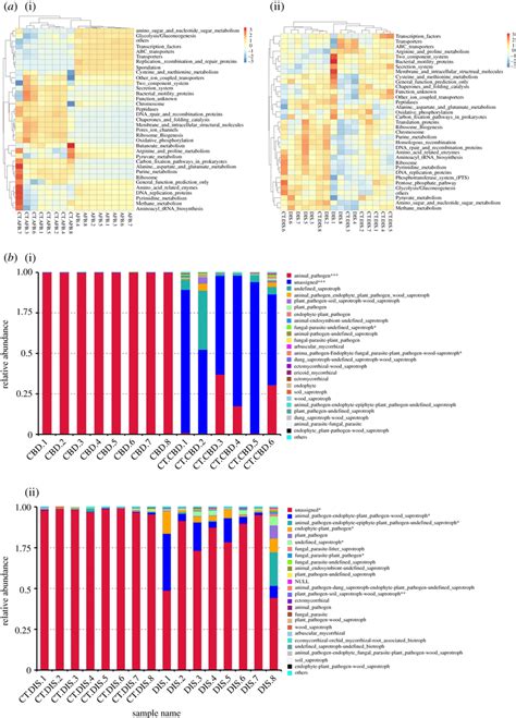 A Heatmap Of Microbial Function Pathways In Different Groups B