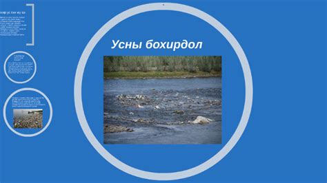 Усны бохирдол By Н Золжаргал On Prezi