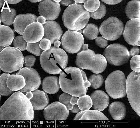 Morphology Of Microcapsules Obtained During Spray Drying Without
