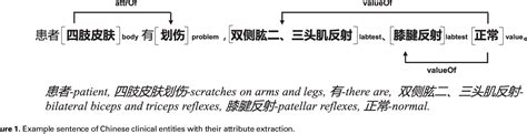 Figure 1 From Extracting Entities With Attributes In Clinical Text Via