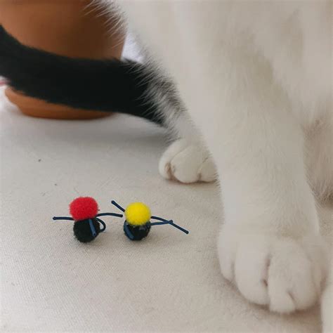 영희네 잡화점 안녕하세요 집사님들🥰 영희네 영희 이모들입니다 오랜만에 좋은 소식 가지고 인사드려요🎁 저희 영희네가 처음으로 오프라인 행사 궁디팡팡캣페스타 에 참가하게