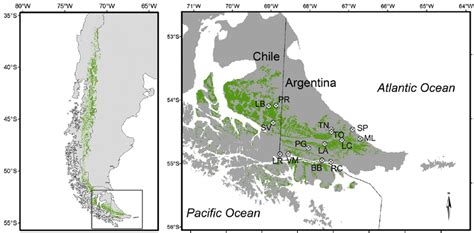 Distribution Map Of Nothofagus Pumilio Along The Southern Andes And
