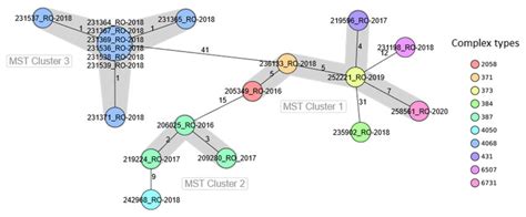 minimum spanning tree based on core genome multilocus sequence type