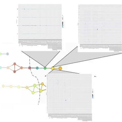 On The Left Is A Vietoris Rips Filtration Shown With Increasing Values