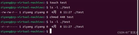 linux实验报告7 文件管理 linux操作系统应用文件管理实验报告 csdn博客