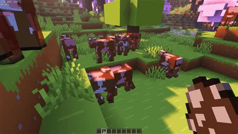 Had Fresh Animations X Barebones On Fabric Finally Working When I Installed Entity Model