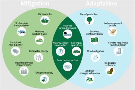 Explore Resilience Theory