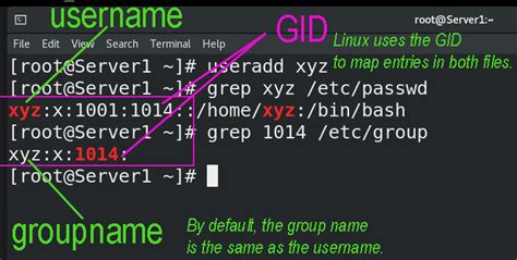 Linux Group Management Explained With Examples