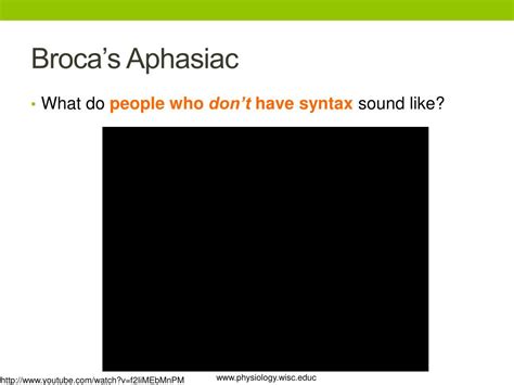 Ppt Linguistic Preliminaries Part Ii Intro To Morphosyntax Powerpoint Presentation Id 1400910