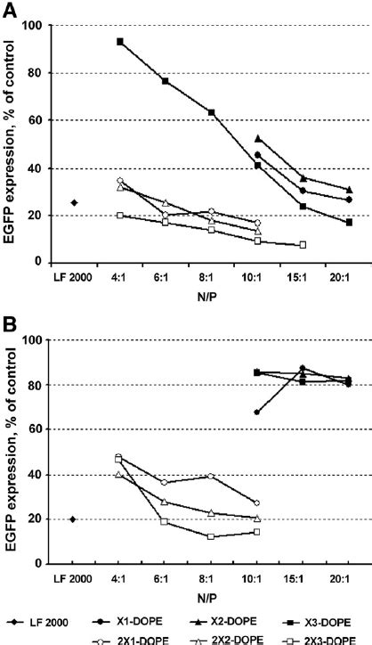 Sirna Egfp Delivery Into Bhk Ir 780 Cells Mediated By The Cationic Download Scientific