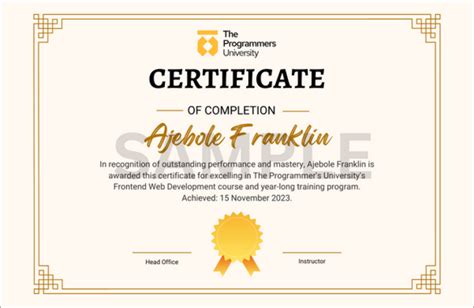 The Programmers University Become A Developer Today