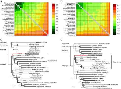 Comparison Of Completeness Of Assembled Transcriptomes For The