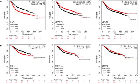 Expression Of Cdks Correlates With Survival Outcomes A Correlation