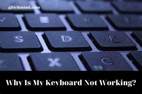 Why Is My Keyboard Not Working Tips New 2022