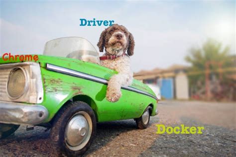 Run Tests With Latest Chrome Driver In Docker Image By Abhishek Soni