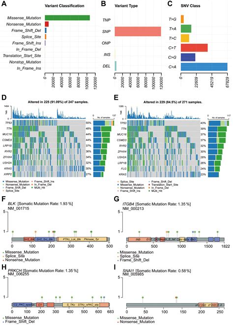 The Integration Of Multi Omics Analysis And Machine Learning For The Identification Of
