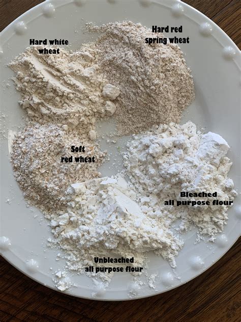 Guide To Wheat Flour Amy Bakes Bread