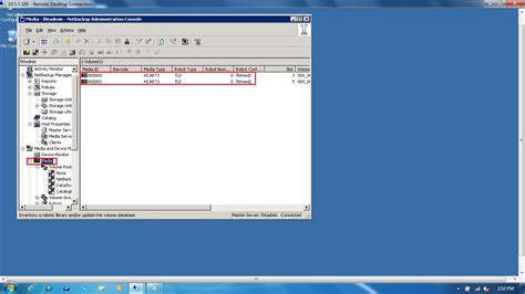 Remote Infrastructure Management Advance Disk Configuration In Netbackup