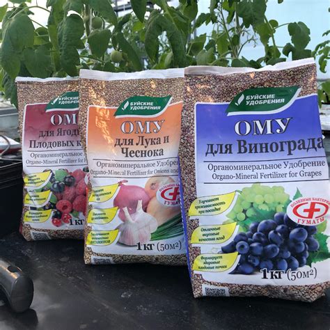 Буйские ОМУ лучшее решение для вашего огорода Буйские Удобрения Дзен