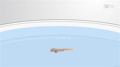 Video Protein Phase Separation Assay An Optogenetic Method For Mutant Rna Binding Protein