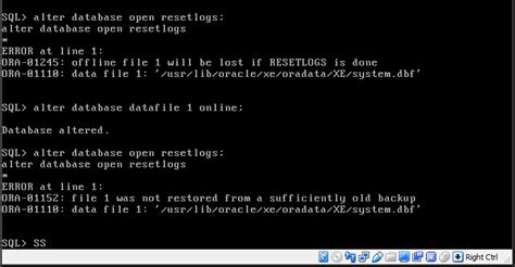 Oracle Database Not Opening After Messing With Datafiles Database