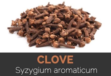 Benefits Of Clove