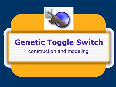 Genetic Toggle Switch Construction And Modeling Toggle Switch
