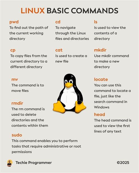 Linux Basic Commands That Every Programmer Should Know In 2025 Learn Computer Coding Learn
