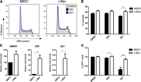 Exogenous C Myc Expression Partially Rescues Cell Cycle Arrest And Download Scientific Diagram