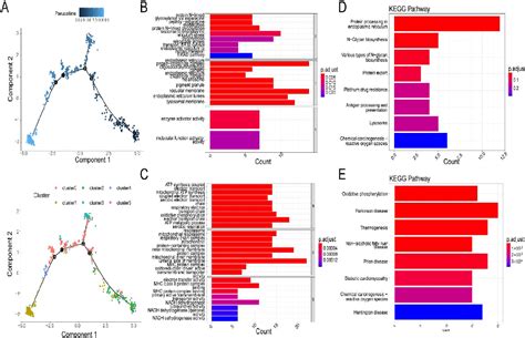 Figure From Integrative Analysis Of Bulk RNA Seq And Single Cell RNA Seq Unveils Novel