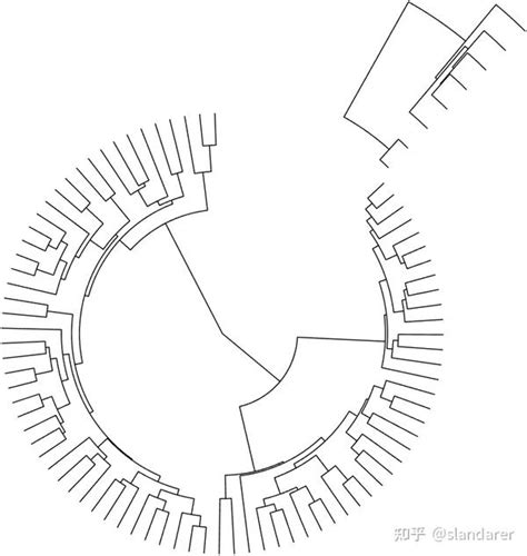 MATLAB 绘图复刻 五 带树状图的环形热图 知乎
