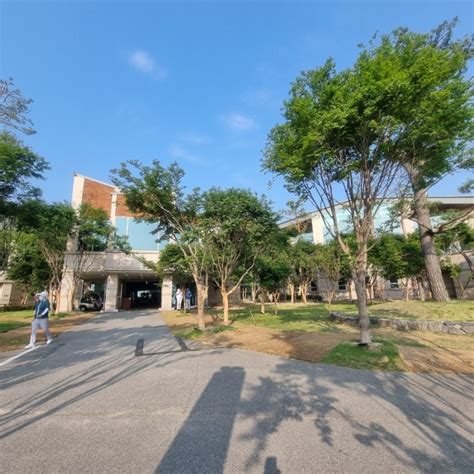 충주 로얄포레cc 솔직한 후기 네이버 블로그