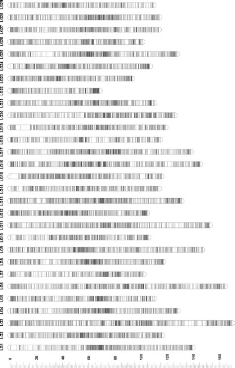 Illustration Of Sex Averaged Linkage Map Download Scientific Diagram