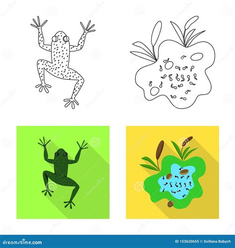 Isolated Object Of Wildlife And Bog Symbol Set Of Wildlife And Reptile Vector Icon For Stock