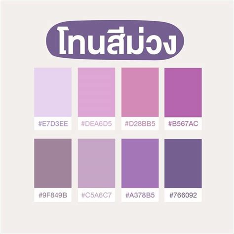 รวมชุดโค้ดสีสุดเจ๋ง หลากหลายสไตล์ ปรับใช้ได้กับงานต่างๆ ปันโปร Punpromotion
