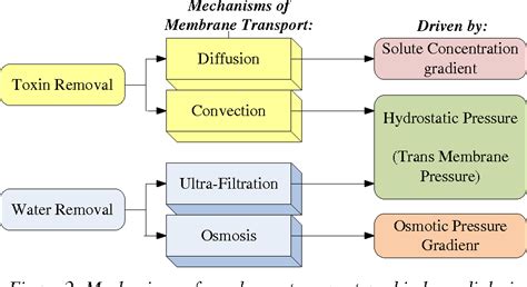 Figure 2 From Design Of A Simplified Hemodialysis Simulation Semantic Scholar