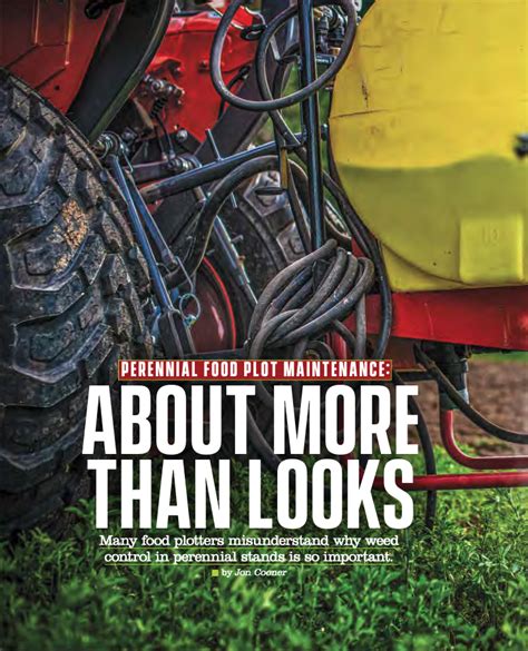 Perennial Food Plot Maintenance About More Than Looks Whitetail