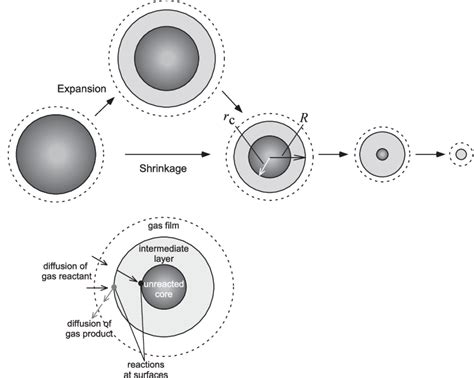 Schematic Diagram Of The Reaction Model For Shrinking Expanding