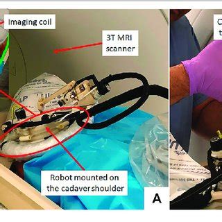 Robot CAD Model Showing The Degrees Of Freedom Robot Coordinate Download Scientific Diagram